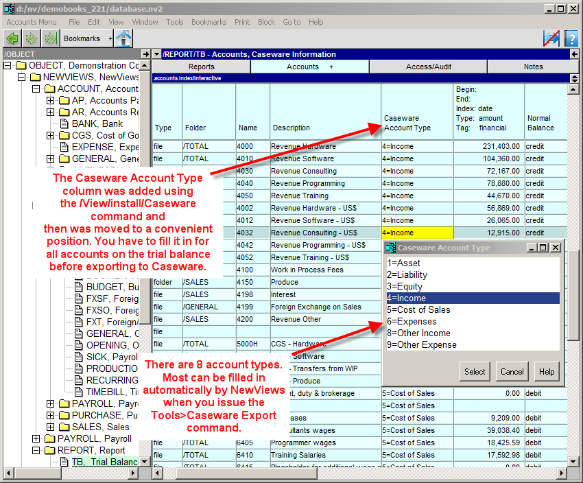 1.24.1 Caseware Export - NewViews 2.36 Manual